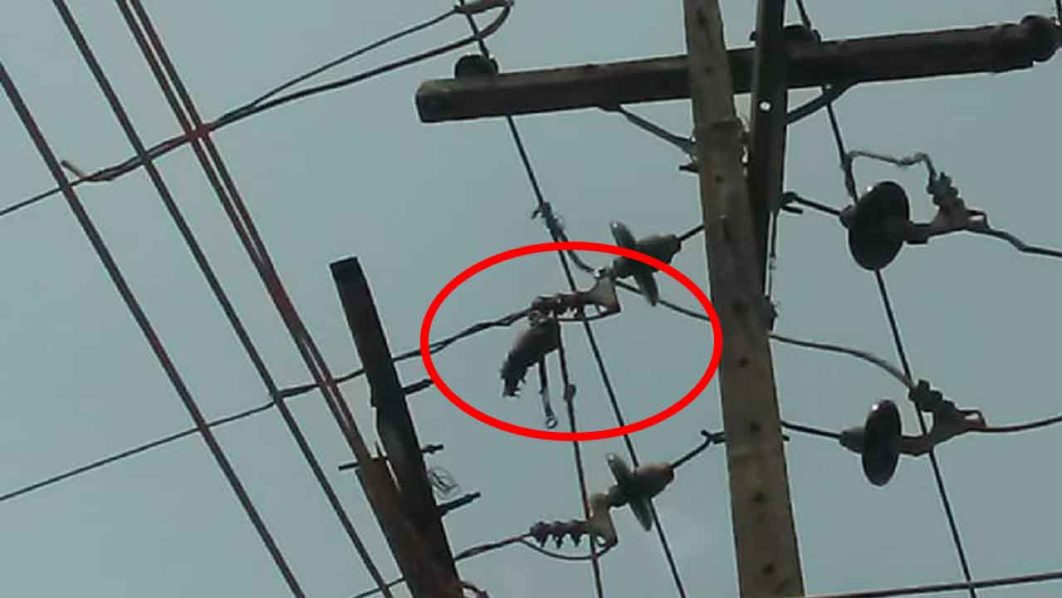Technician Electrocuted While Replacing Billboard In Ogun - OsunDefender