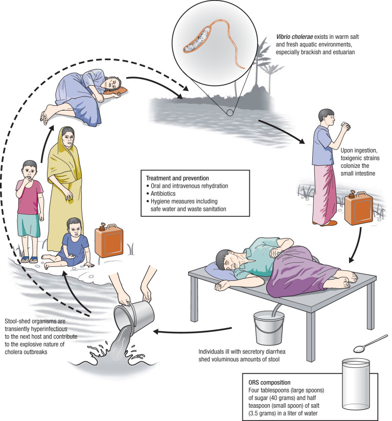 Easy Ways To Prevent Cholera Outbreak In Your Family - OsunDefender